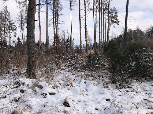 Čerňava (563 m n.m.) - Vrcholovka.cz