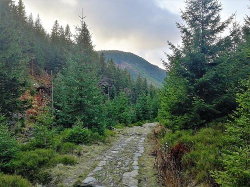 Stoh (1324 m n.m.) - Vrcholovka.cz